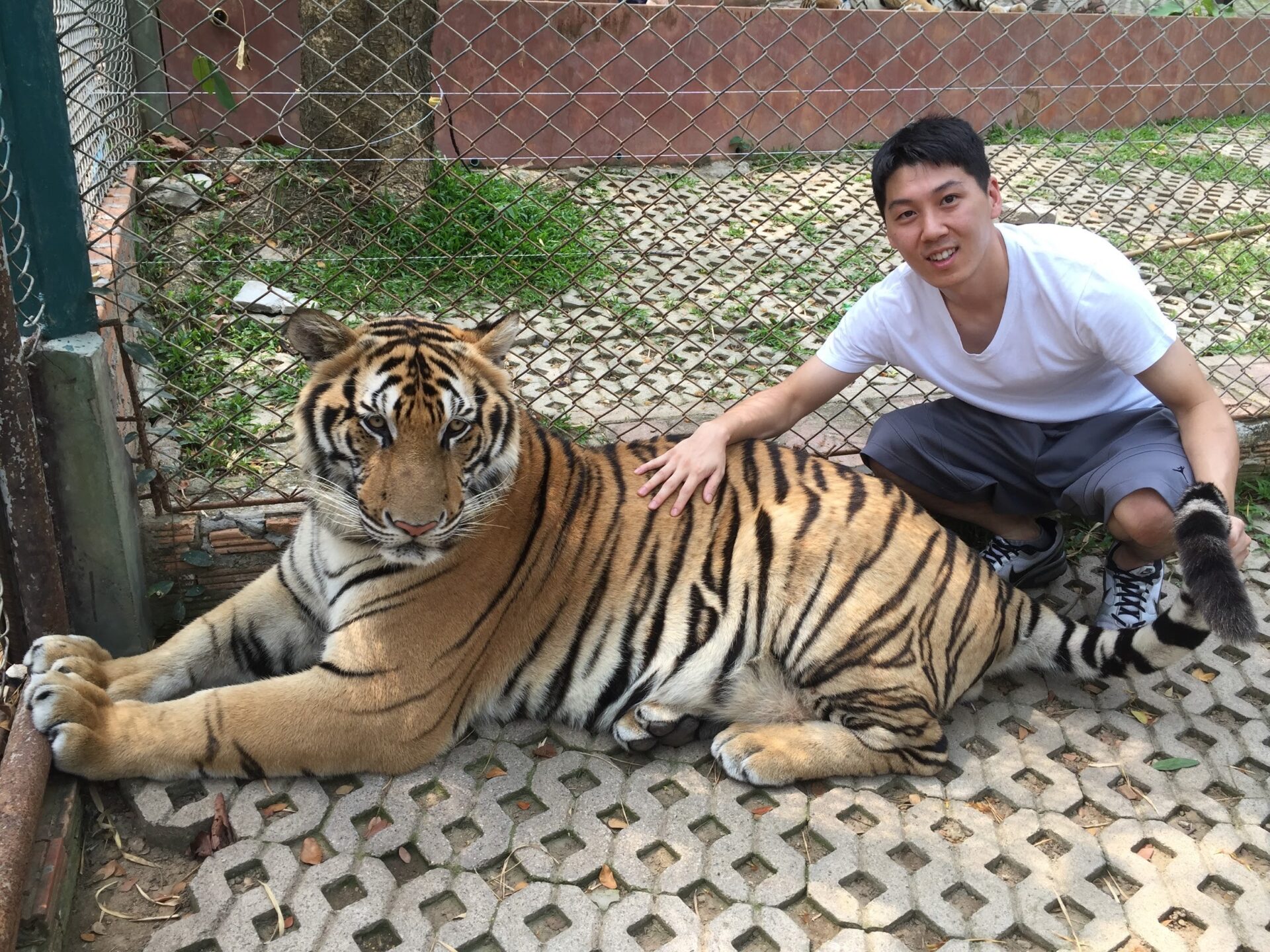 Team Member Bio: DAVID CHO - Collaborative Engineering Group